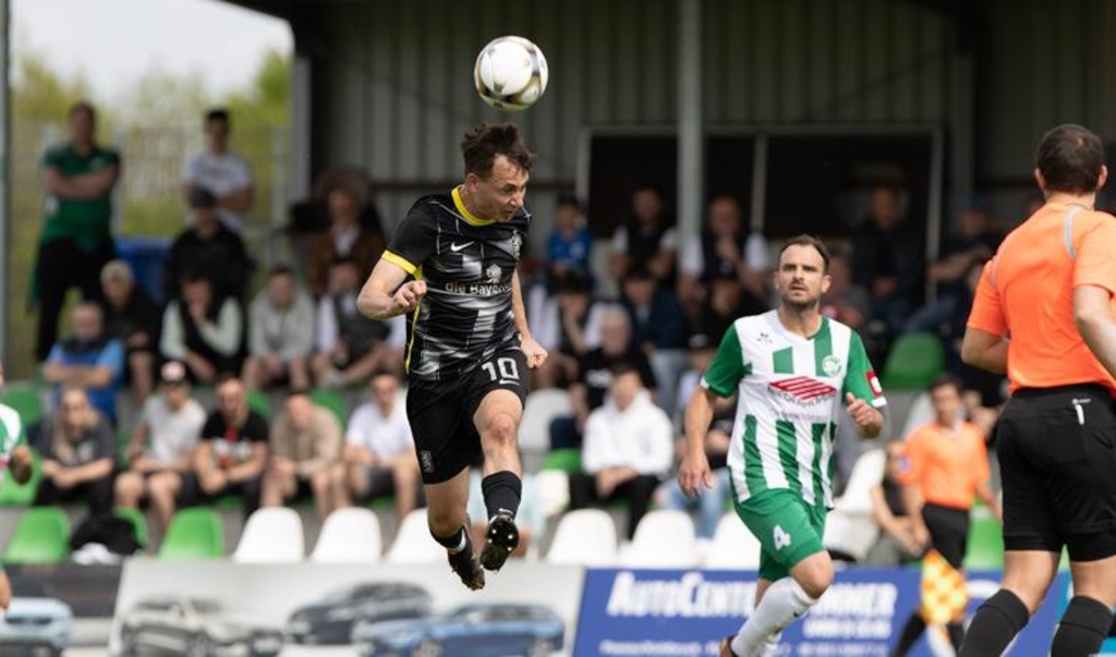 Schnabel knipst, Schalding fast durch
